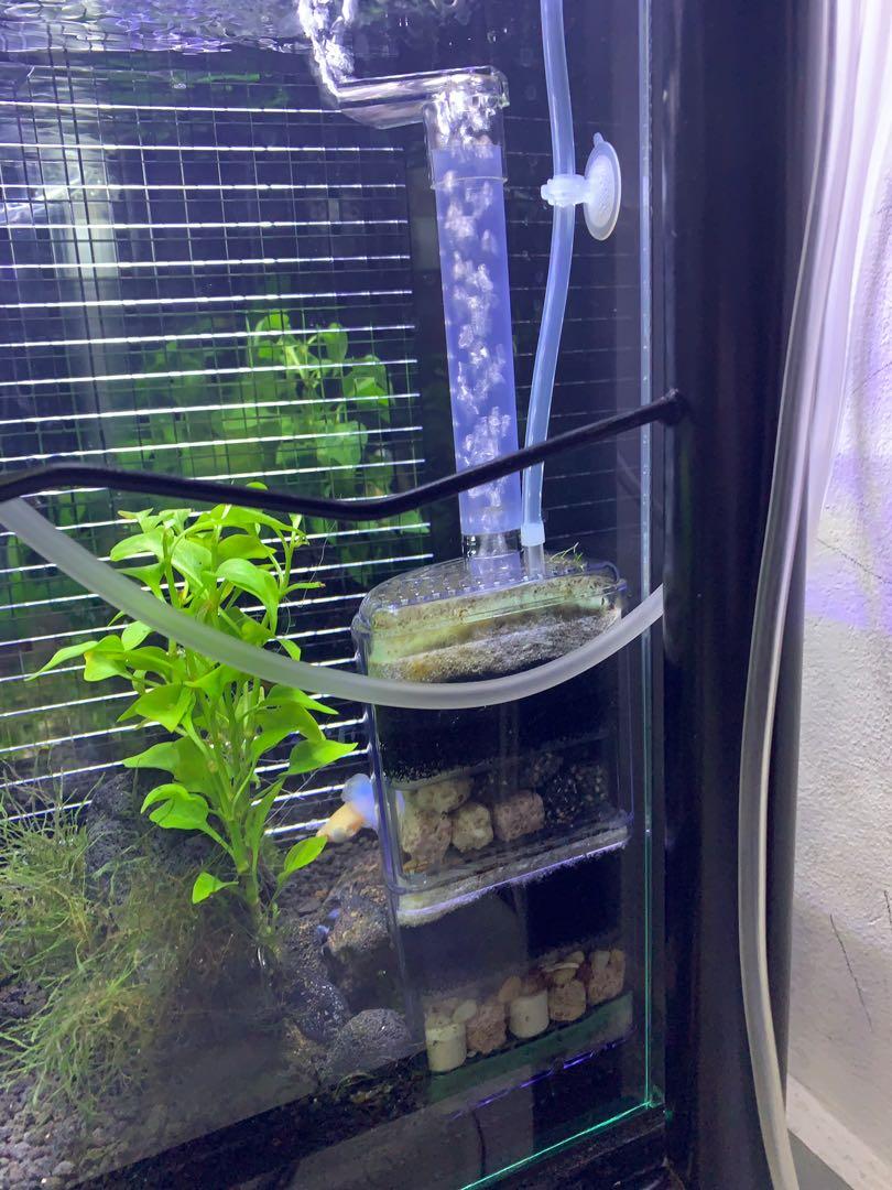 Corner filters (with premium fully cycled media), Pet Supplies, Homes ...