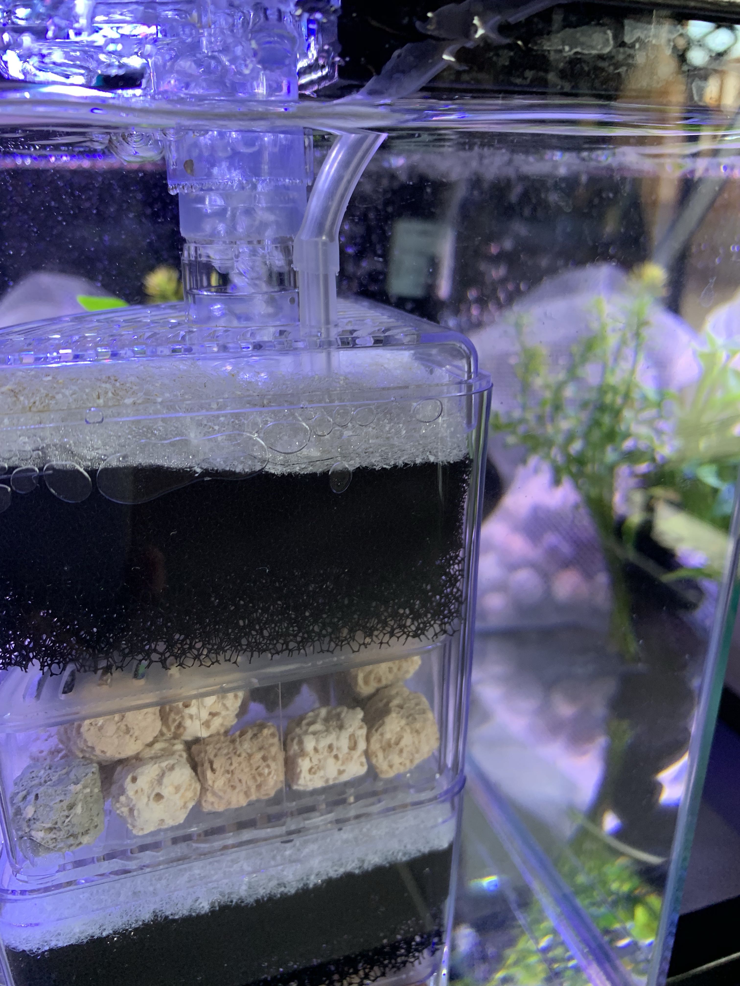 Corner filters (with premium fully cycled media), Pet Supplies, Homes ...