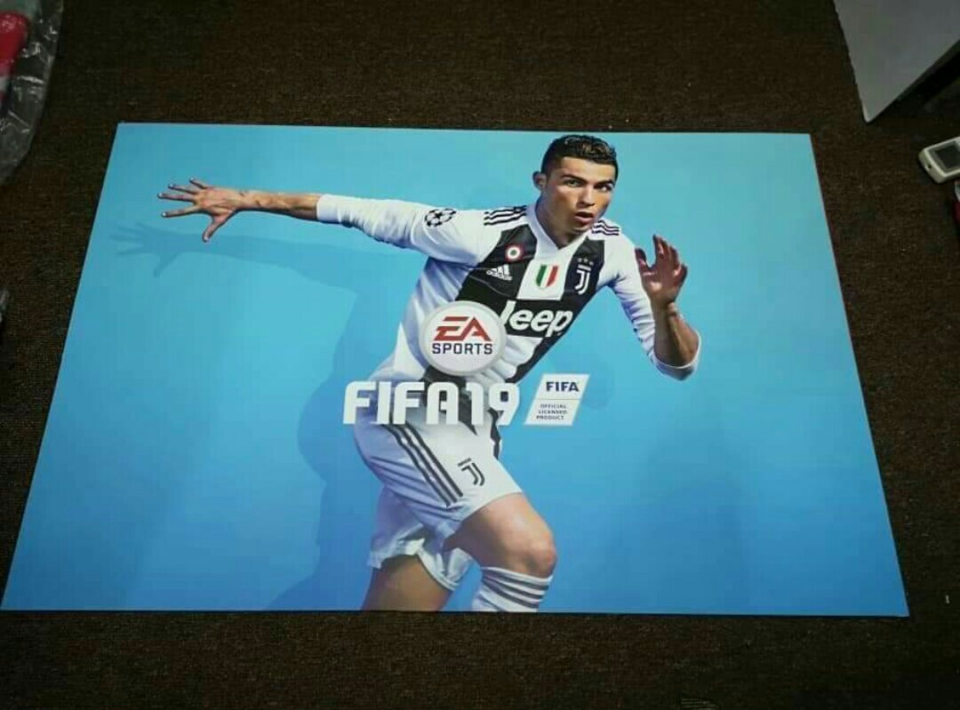 FIFA 19: GAME POSTER, Video Gaming, Gaming Accessories, Game Gift Cards ...