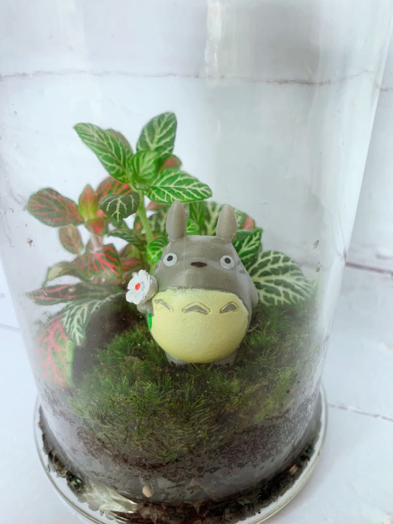 Totoro Terrarium, Gardening, Plants on Carousell