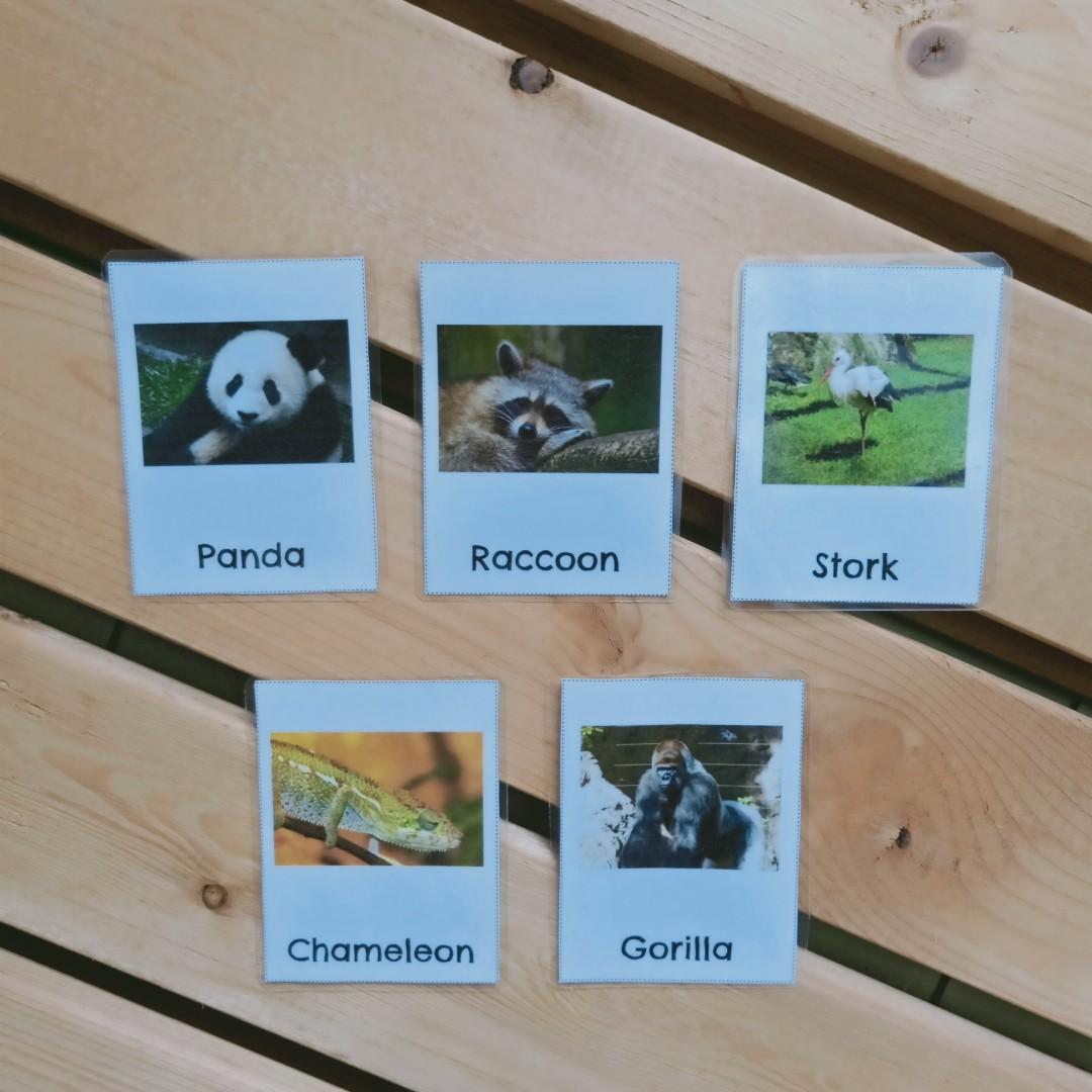 Customise Theme Montessori 3-Part Cards, Hobbies & Toys, Toys & Games ...