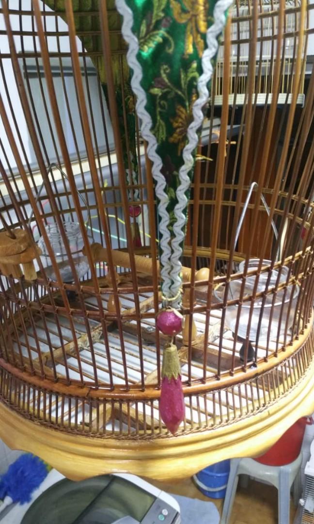 Merbok Bird Cage, Pet Supplies, Homes & Other Pet Accessories on Carousell