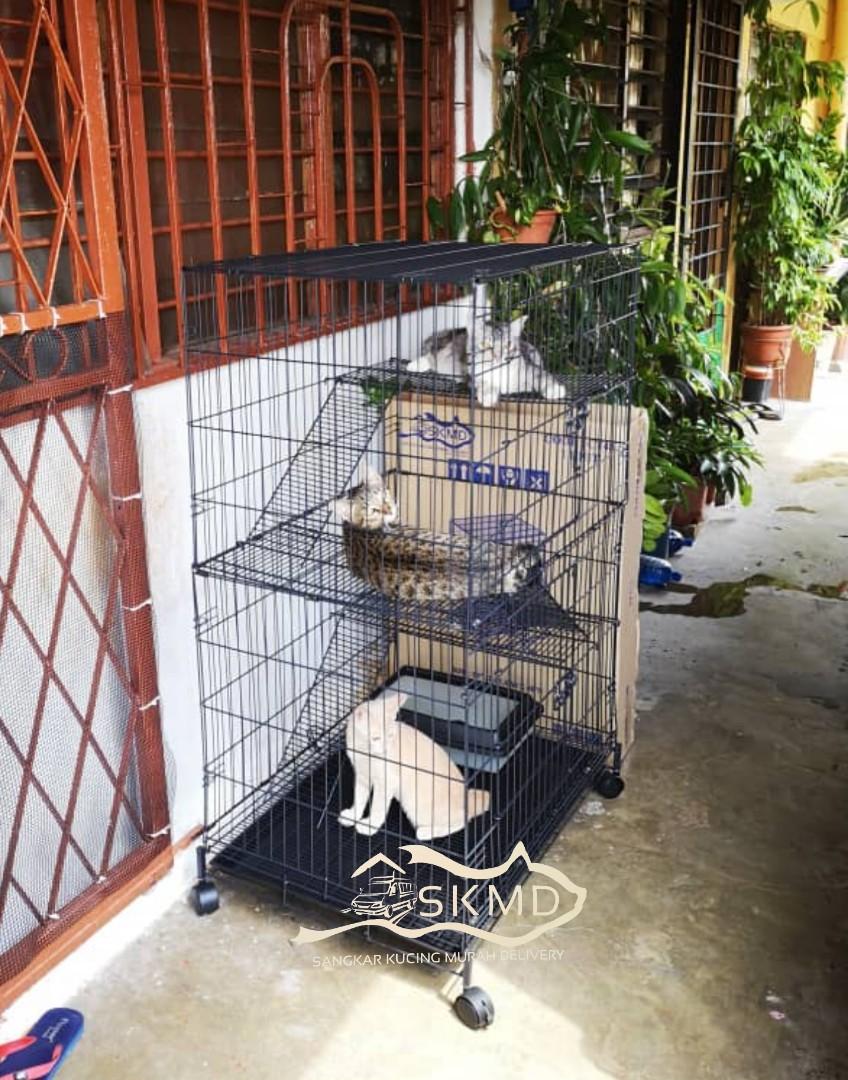 Sangkar Kucing, Pet Supplies, Homes & Other Pet Accessories on Carousell