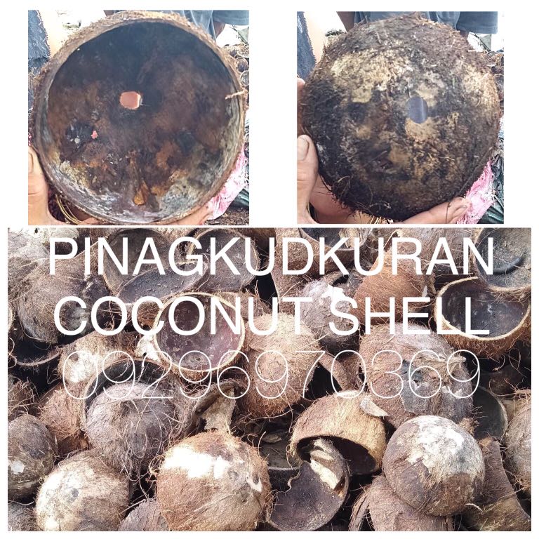 Biomass fuel coconut shell| bao ng nyog, Everything Else, Others on ...