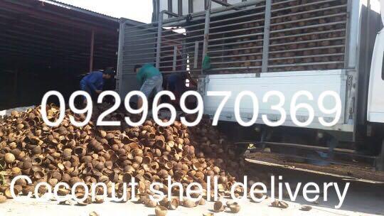 Coconut shells biomass fuel factory boiler, Everything Else, Others on ...