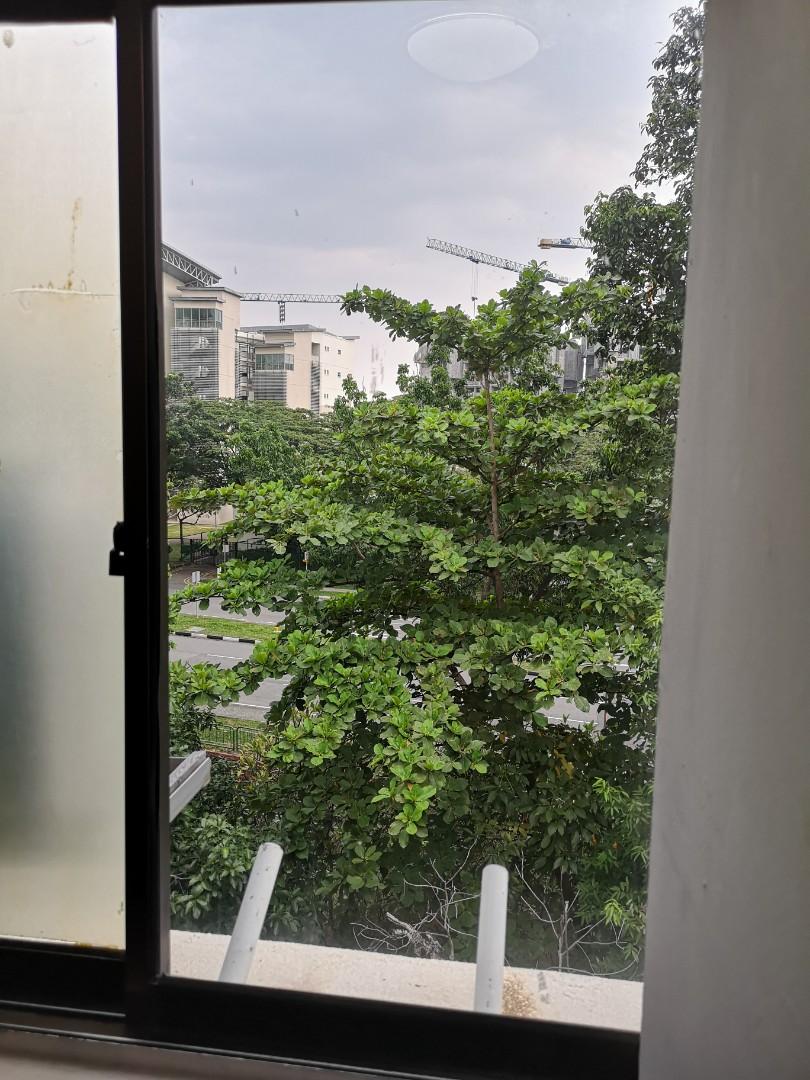 Siglap Court, Property, Rentals, Room Rentals on Carousell