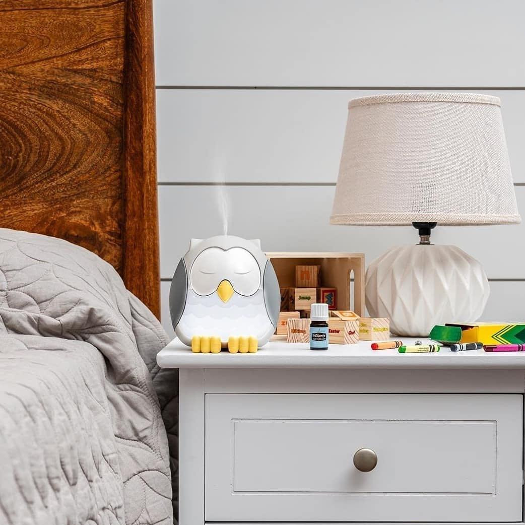Feather the Owl Diffuser, Furniture & Home Living, Home Fragrance on ...