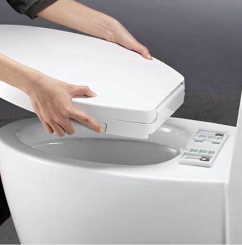 “Jet It” Non Electric Toilet Bidet Seat Cover, Furniture & Home Living ...