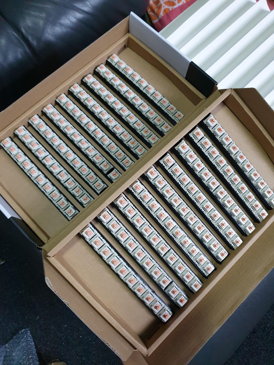 Massdrop Holy Panda x 180 switches, Electronics, Computer Parts ...