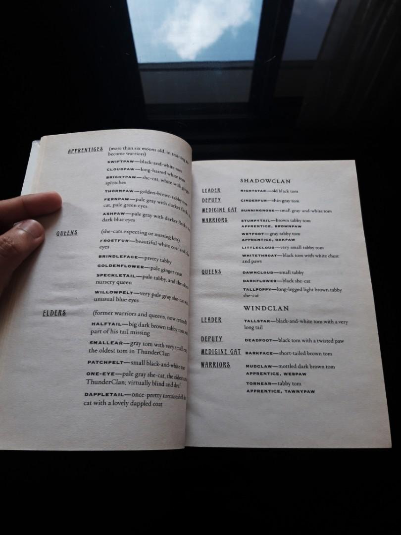 Warriors: Rising Storm by Erin Hunter, Hobbies & Toys, Books ...