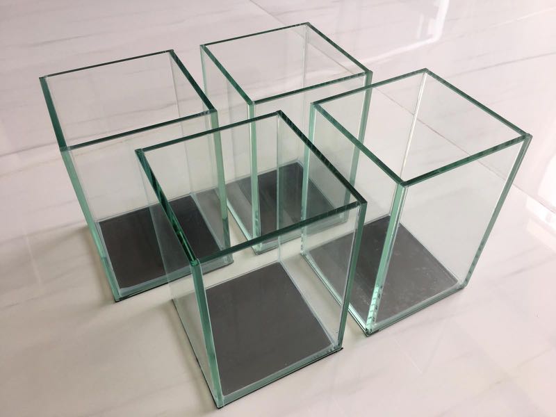 Beta tank, Pet Supplies, Homes & Other Pet Accessories on Carousell