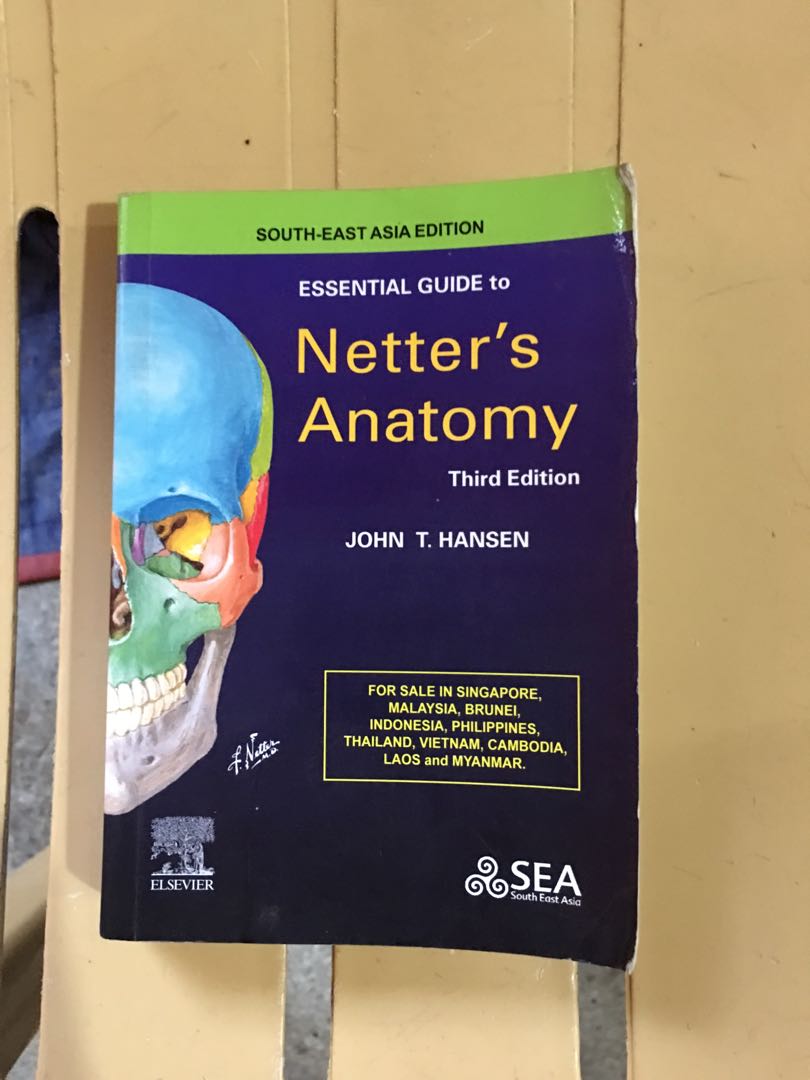 Essential Guide to Netter's Anatomy, Hobbies & Toys, Books & Magazines ...