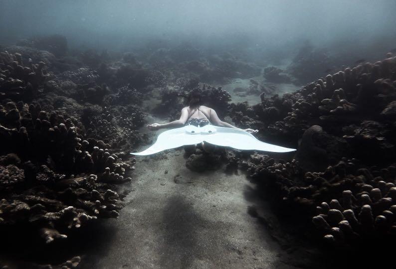 Mahina Mermaid Tail / Merfin / Mermaid Fin (REPRICED), Sports Equipment ...