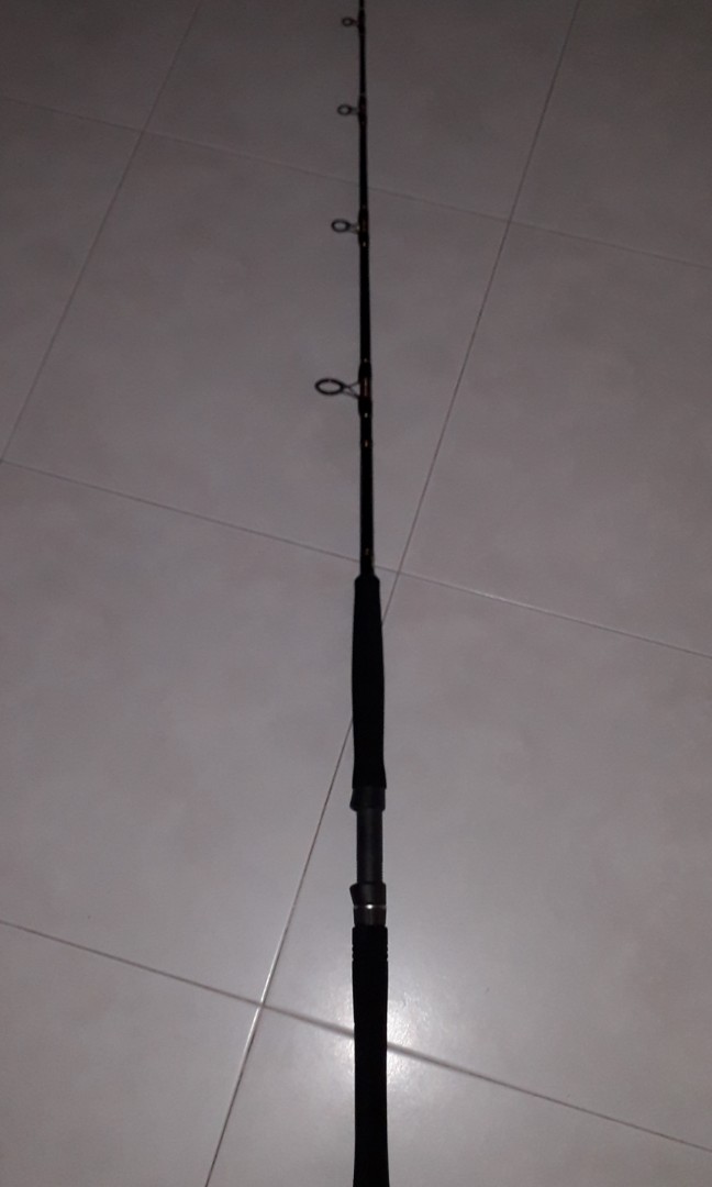 Spinning rod Tuna Power 2, Sports Equipment, Fishing on Carousell