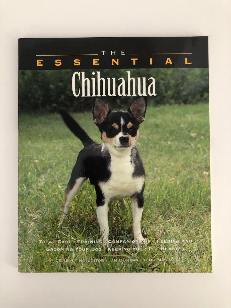 Chihuahua, Hobbies & Toys, Books & Magazines, Fiction & Non-Fiction on ...