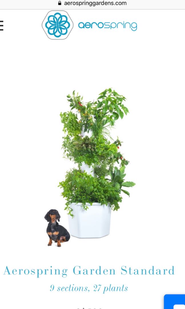 Aero spring Garden, Gardening, Pots & Planters on Carousell