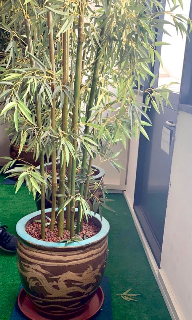 Free Large Ceramic Pot with Bamboo, Furniture & Home Living, Gardening ...
