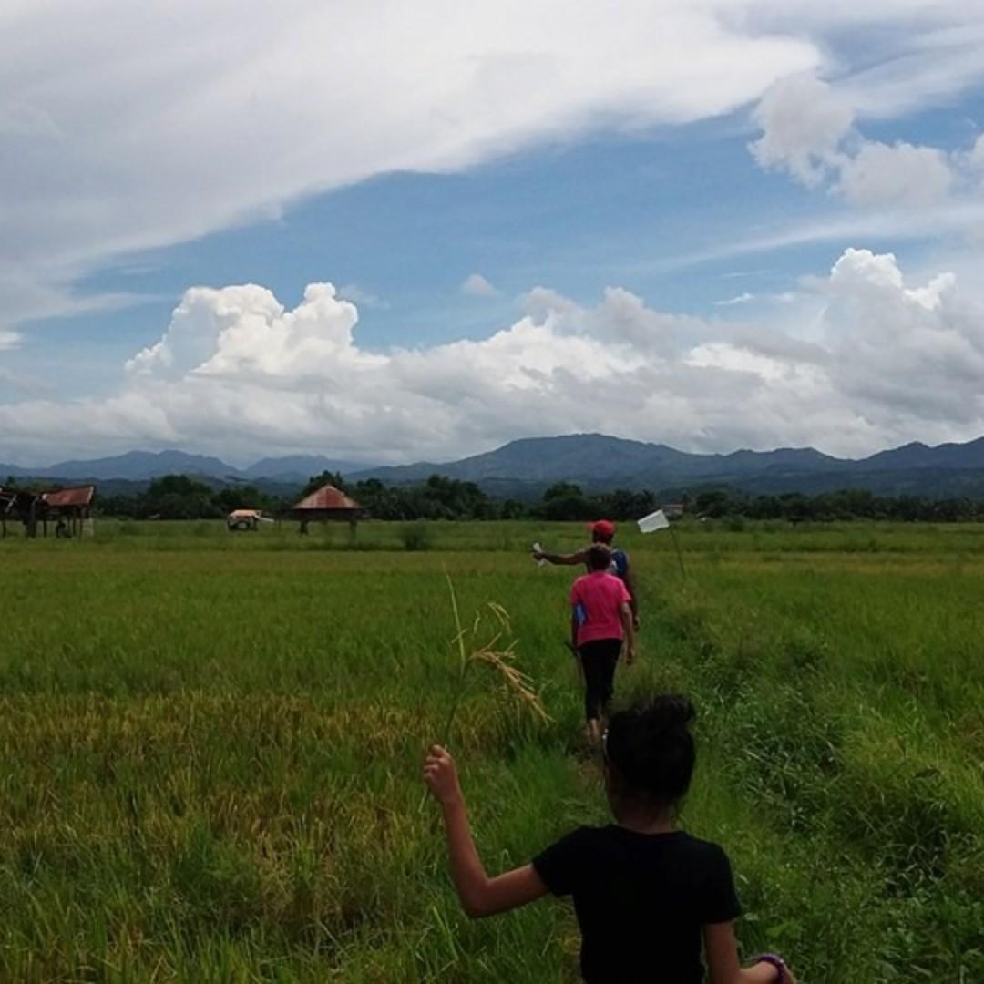 Mas Pinamura 8,537 sqm Palayan in San Pedro (Pob.) Morong, Rizal near ...