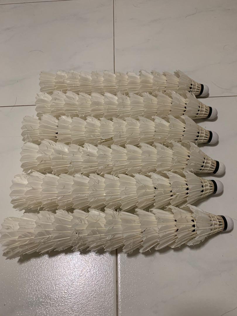 Used badminton shuttlecocks for sale, Sports Equipment, Sports & Games ...