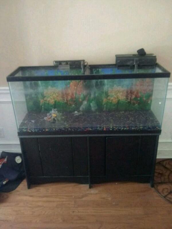 Fish Tank, Pet Supplies, Homes & Other Pet Accessories on Carousell