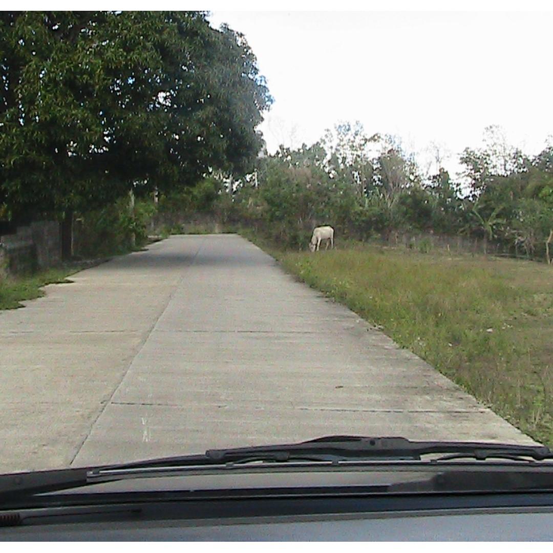Residential Farm Lot for Sale in Dasma Cavite, Property, For Sale, Lot ...