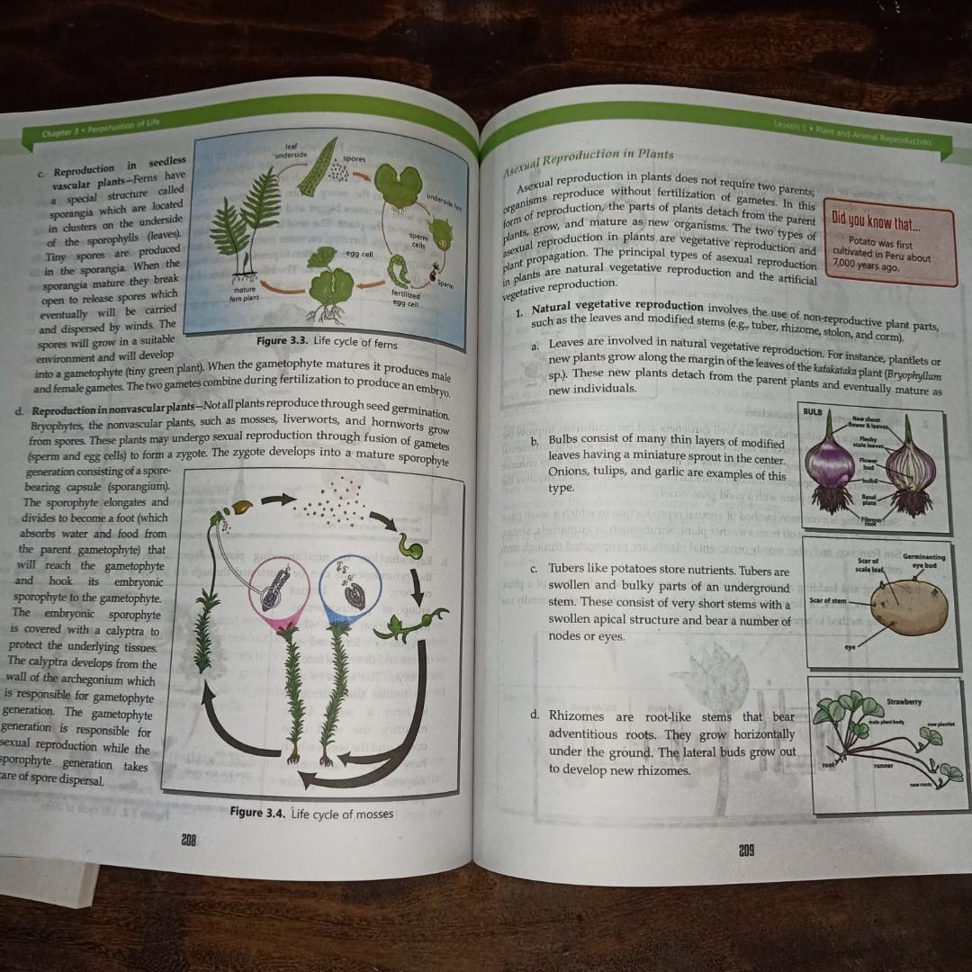 Earth and Life Science for Senior High School, Hobbies & Toys, Books ...