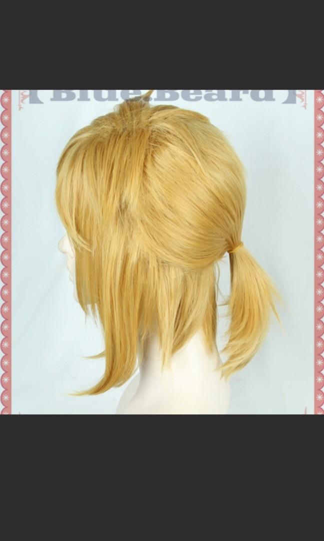 Link Wig BOTW Breath of the Wild, Everything Else on Carousell