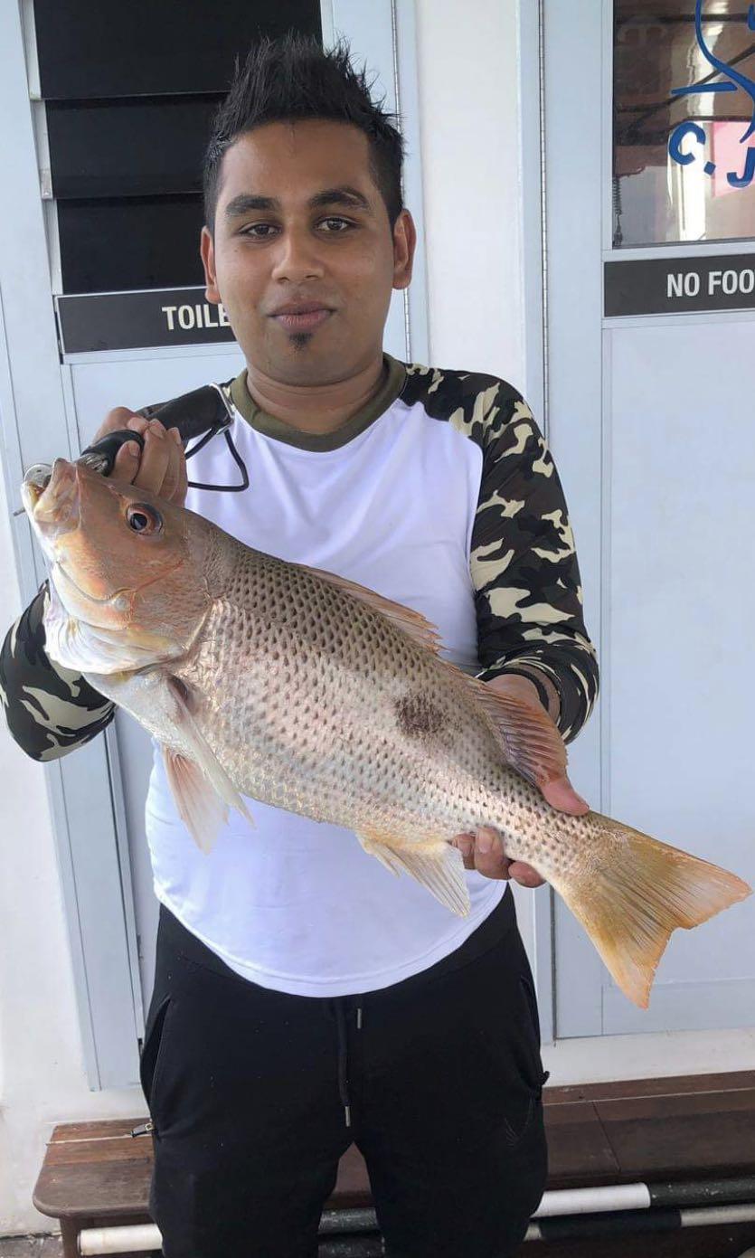 PROVEN! REUSABLE APOLLO T-KNOT FISHING RIG, Sports Equipment, Fishing ...