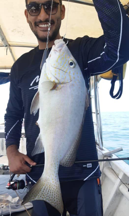 PROVEN! REUSABLE APOLLO T-KNOT FISHING RIG, Sports Equipment, Fishing ...