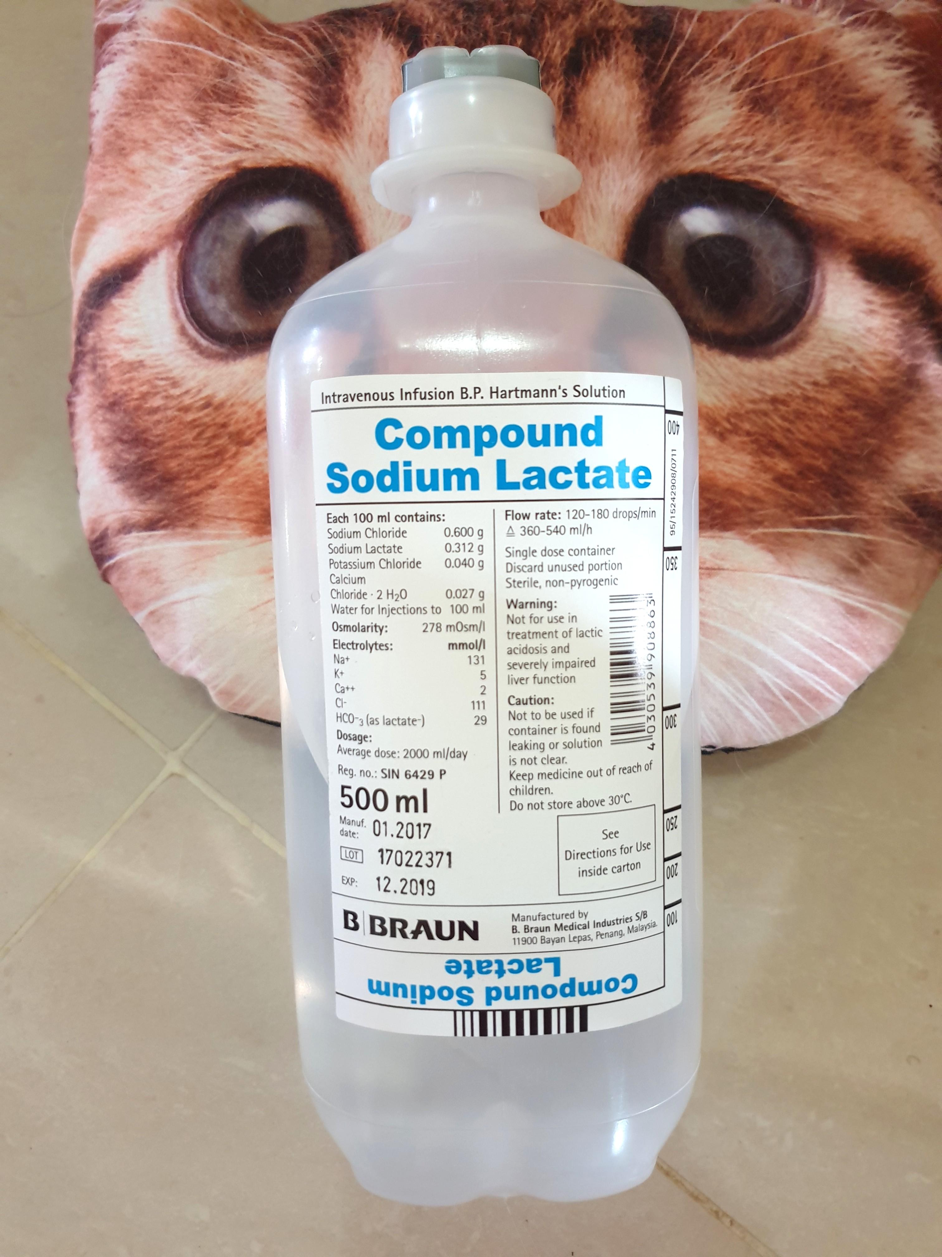 Hartmann's Solution (Compound sodium lactate), Everything Else on Carousell