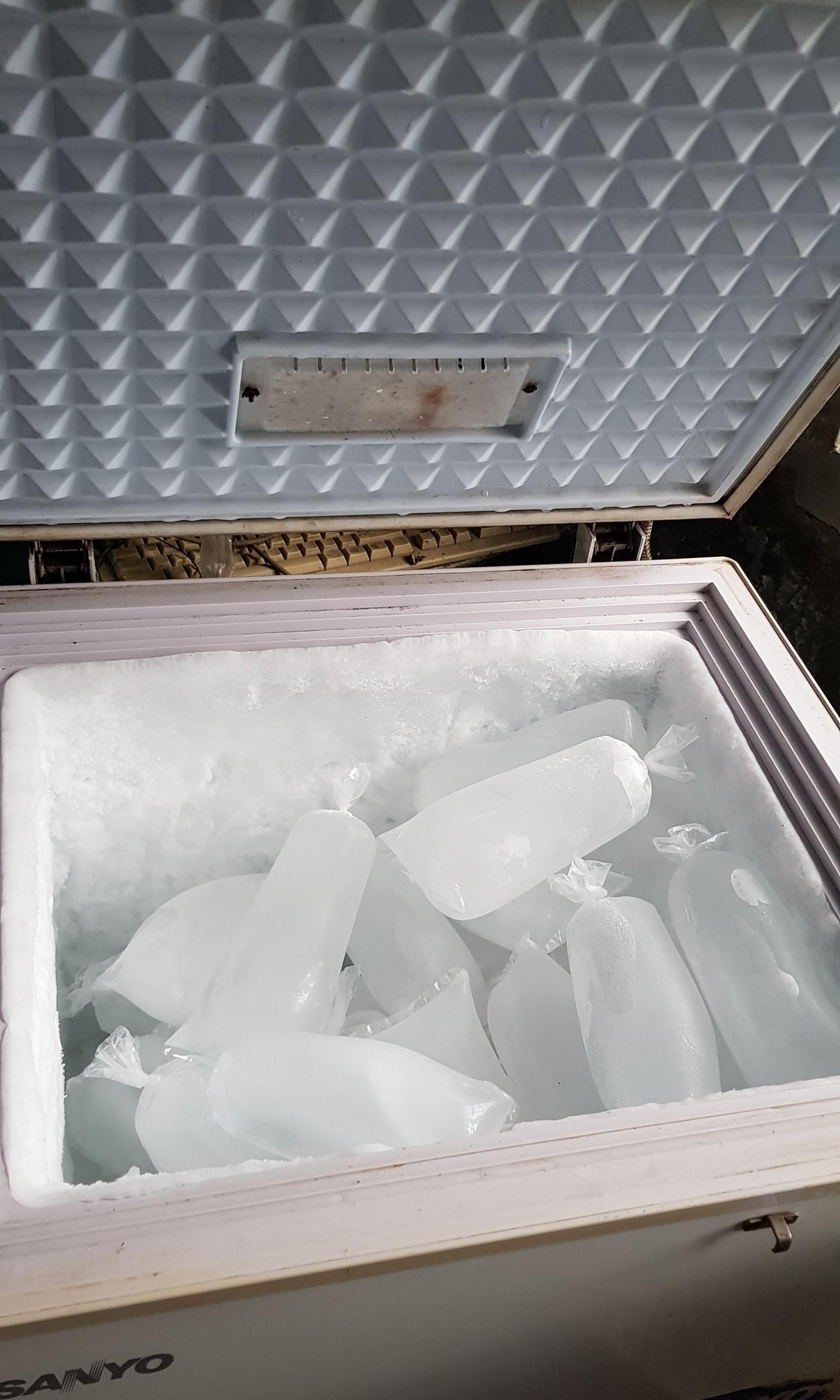 SANYO Chest-type freezer, TV & Home Appliances, Kitchen Appliances ...