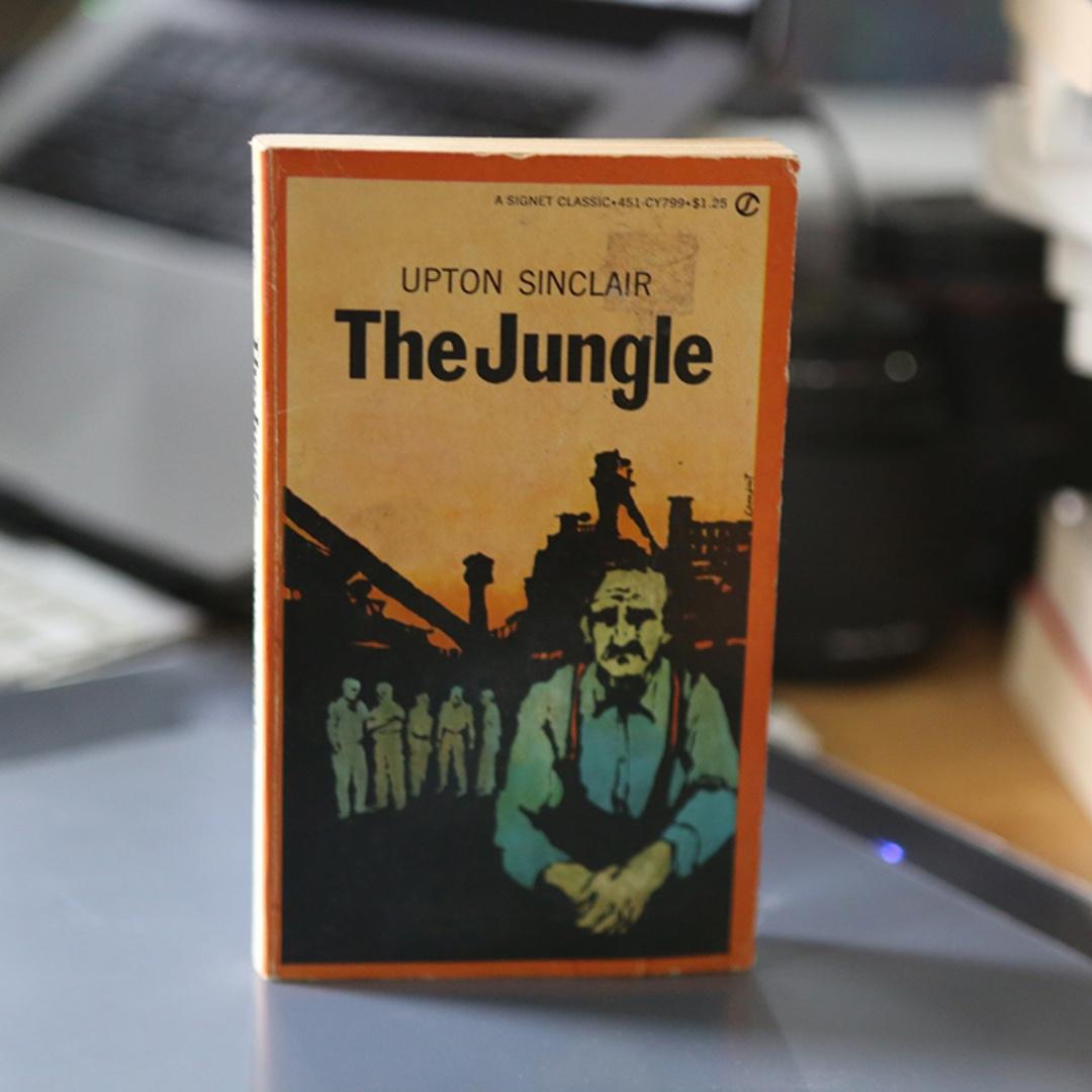 The Jungle by Upton Sinclair, Hobbies & Toys, Books & Magazines, Travel ...