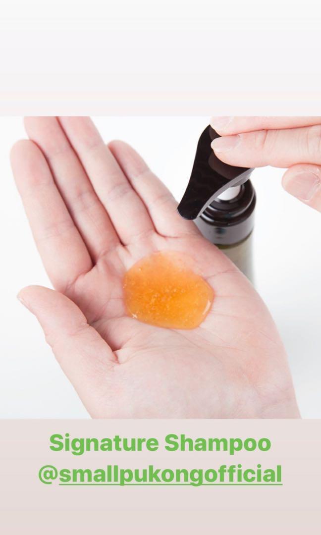 [SALES] SMALL PUKONG 小蒲公 Premium Hair Life Shampoo (Ginger Root) 300ml ...