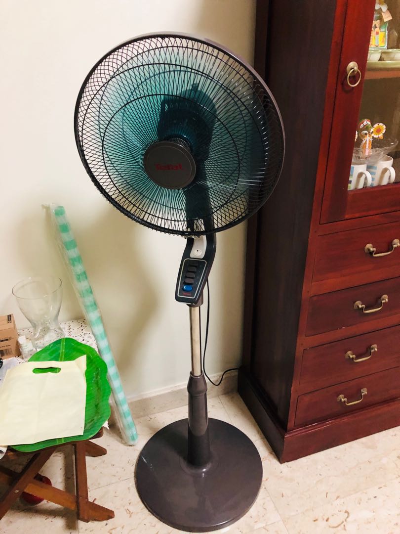 Standing Fan, Furniture & Home Living, Lighting & Fans, Fans on Carousell
