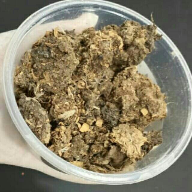 BAJA TAHI AYAM 1 Kg, Chicken Slurry (Organic Baja tahi Ayam ...