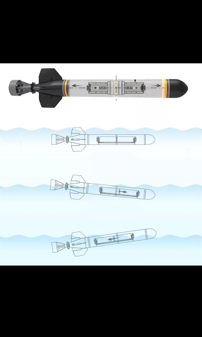 Tigerfish RC Submarine Torpedo Educational Toy for children above 14 ...