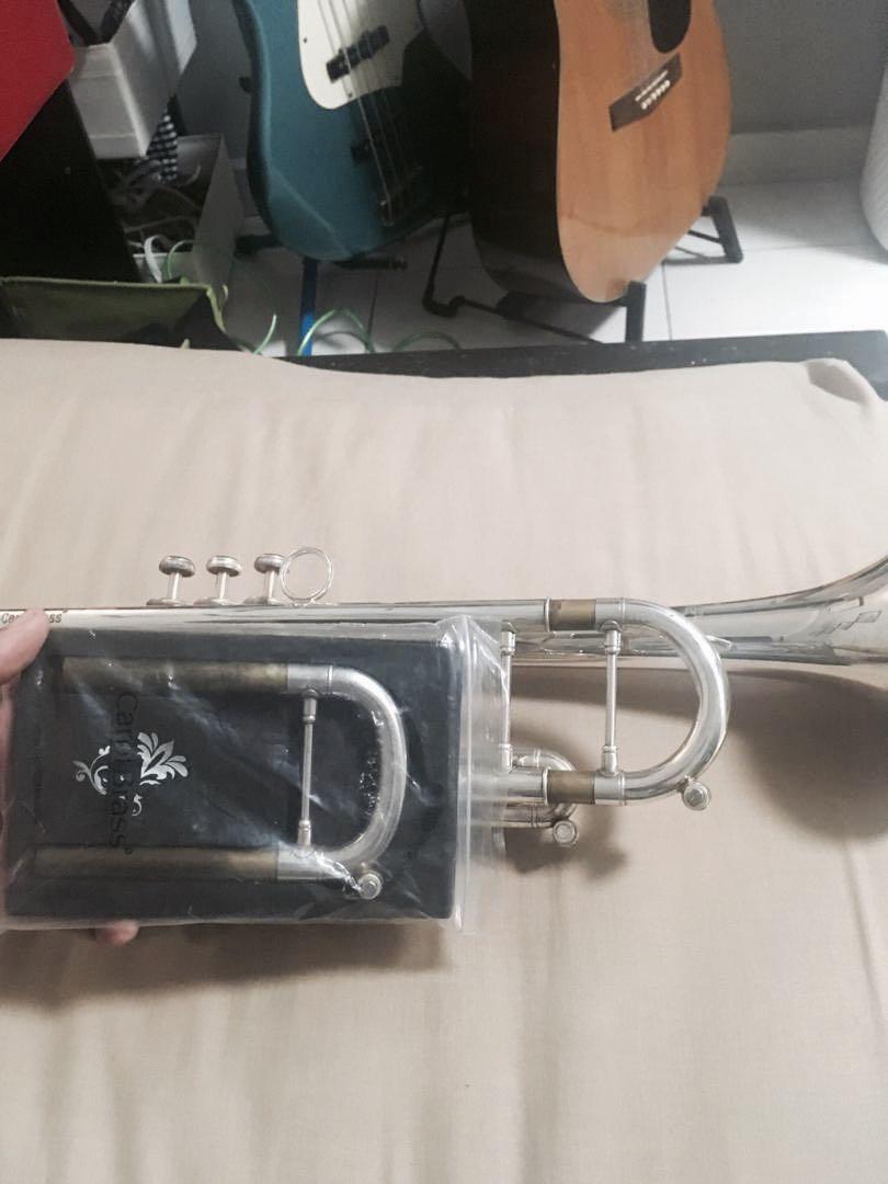 Carol Brass Custom Made Trumpet, Hobbies & Toys, Music & Media, Musical ...