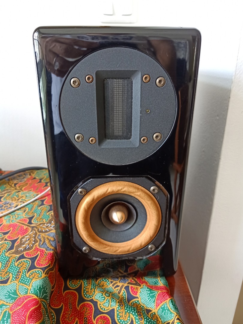 Ribbon Tweeter Active Speaker (USED), Audio, Soundbars, Speakers ...