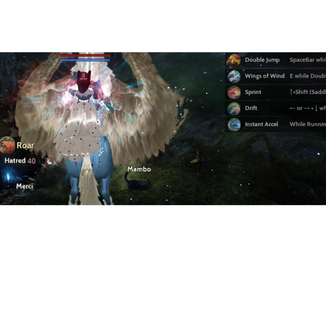 BDO Level 62 Witch High AP 275 with Pegasus Flying mount Black Desert ...