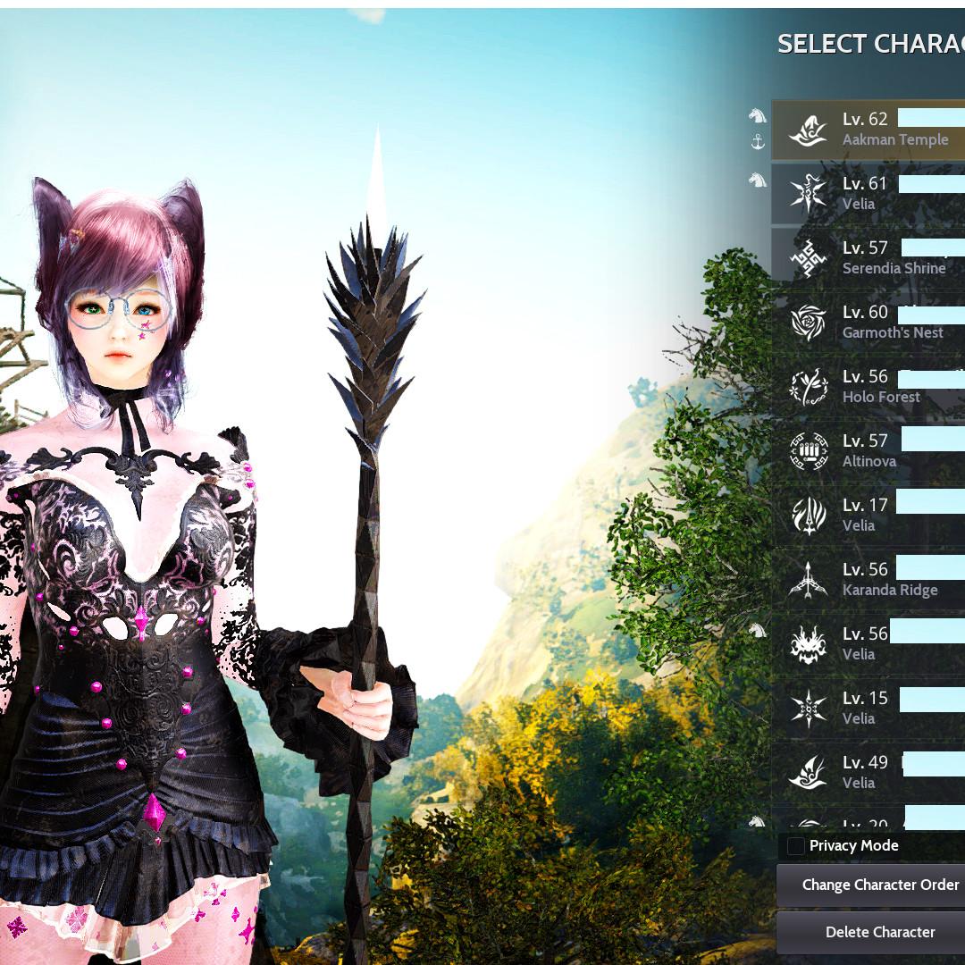 BDO Level 62 Witch High AP 275 with Pegasus Flying mount Black Desert ...