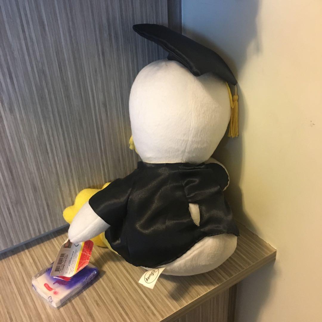 Donald duck graduation doll 唐老鴨畢業公仔, 興趣及遊戲, 玩具 & 遊戲類 - Carousell
