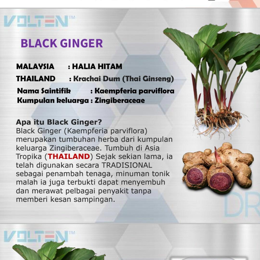 KAPSUL KUNYIT HITAM DR4 ORIGINAL, Health & Nutrition, Health ...