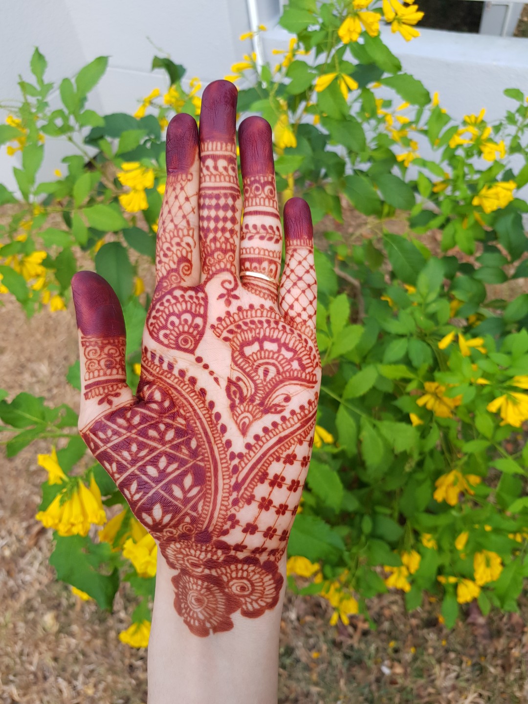 Natural Henna- INDIAN, Women's Fashion, New Undergarments & Loungewear ...