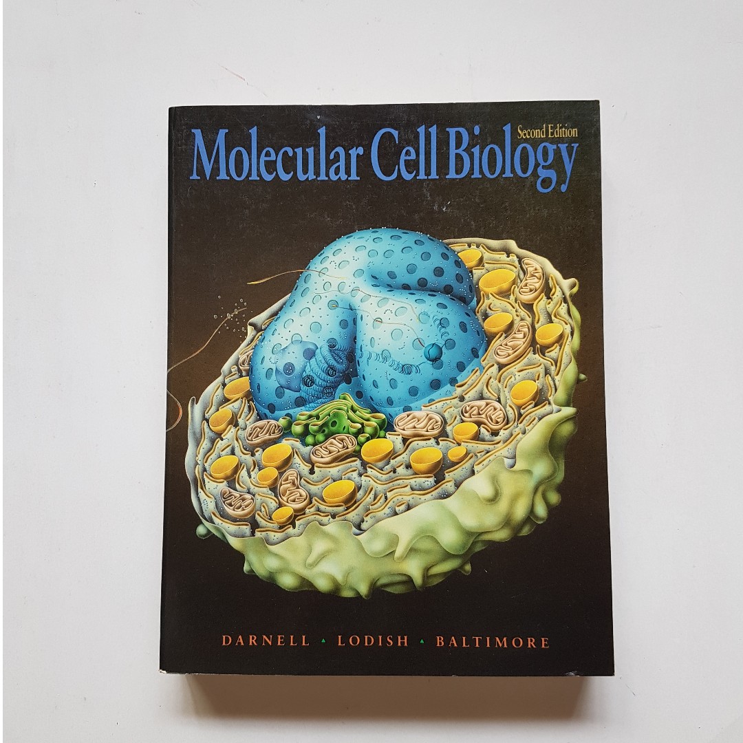 MOLECULAR CELL BIOLOGY, Hobbies & Toys, Books & Magazines, Textbooks on ...