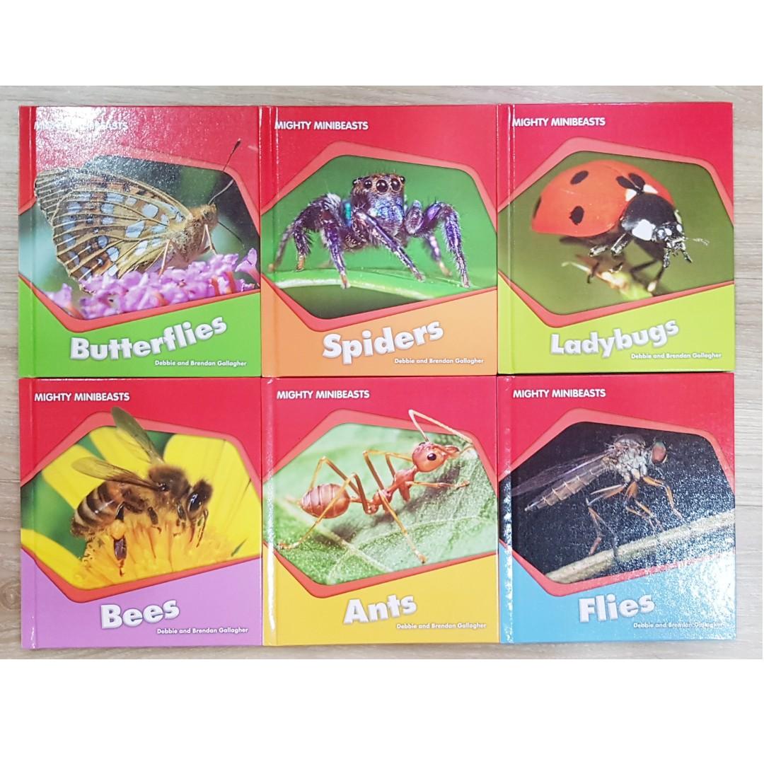 Set of 6 Mighty Minibeasts Insects & Spiders Books (Marshall Cavendish ...