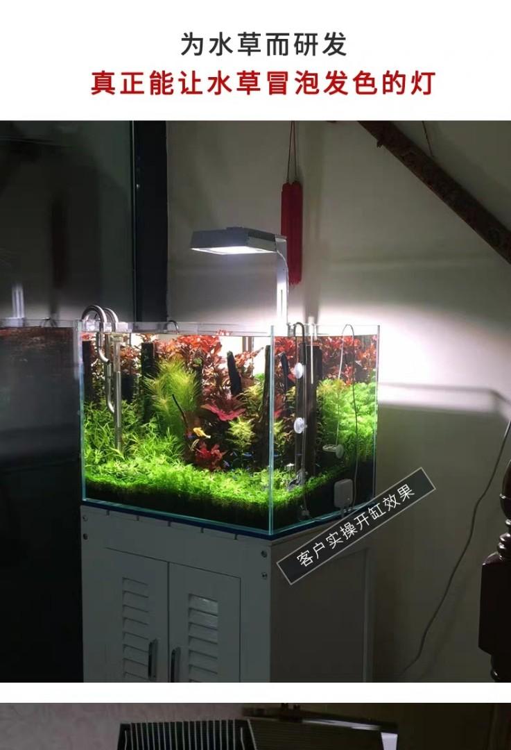 Chihiros LED X300 (65W / 60cm Tank / COBx1 / BLACK), Pet Supplies ...