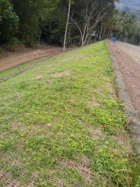 Coconet and installation, Everything Else, Others on Carousell