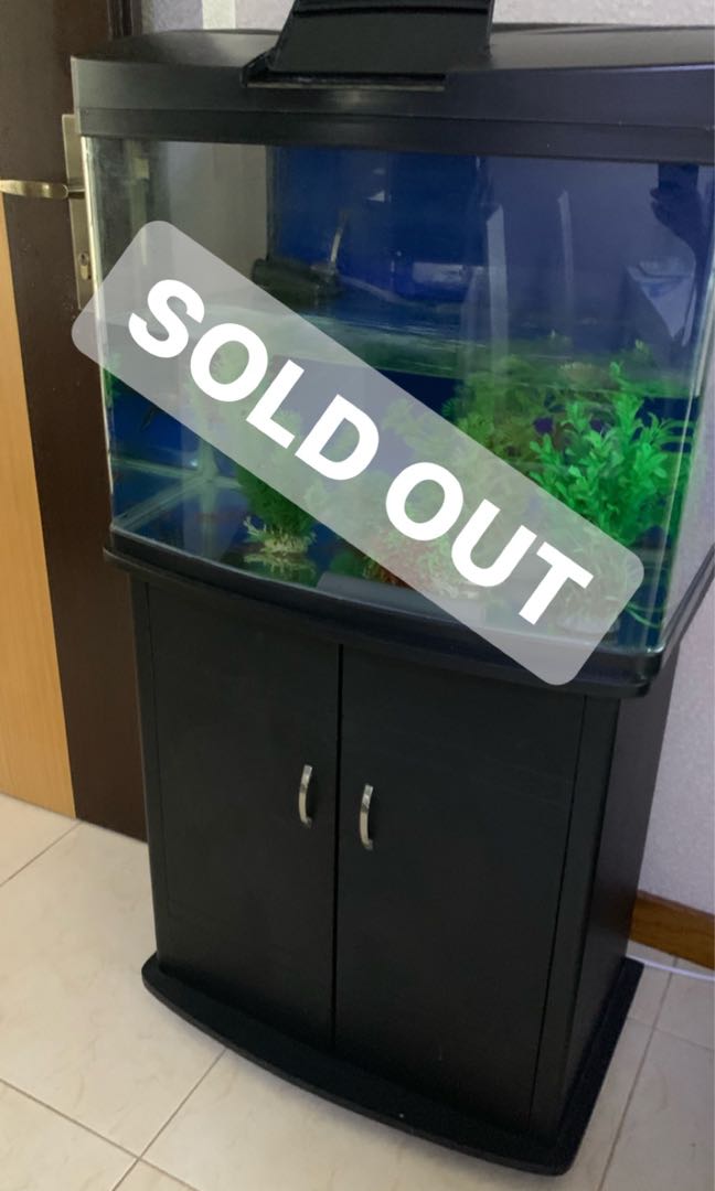 Fish Tank, Pet Supplies, Homes & Other Pet Accessories on Carousell