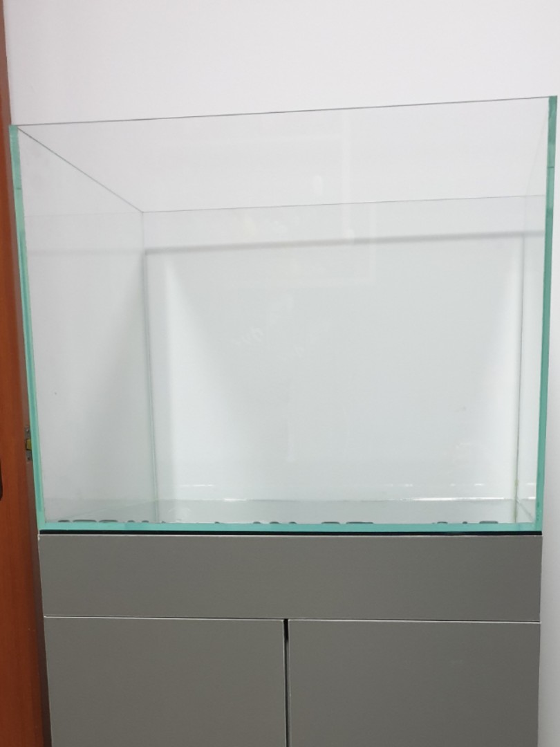 2 ft 8mm thick rimless tank, Pet Supplies, For Fish, Fish Tanks on ...