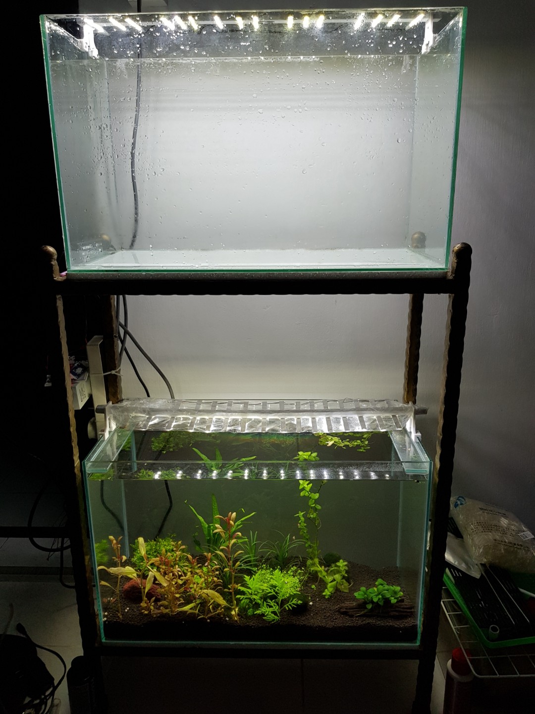 2 X 2 ft fish tank with lights, Pet Supplies, Homes & Other Pet ...